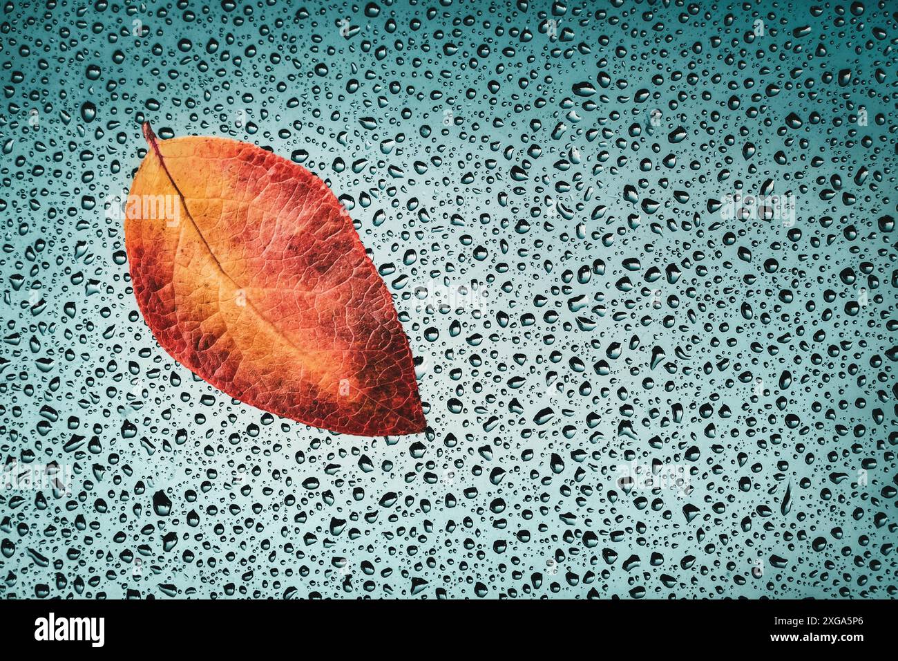 Wet poster background hi-res stock photography and images - Alamy