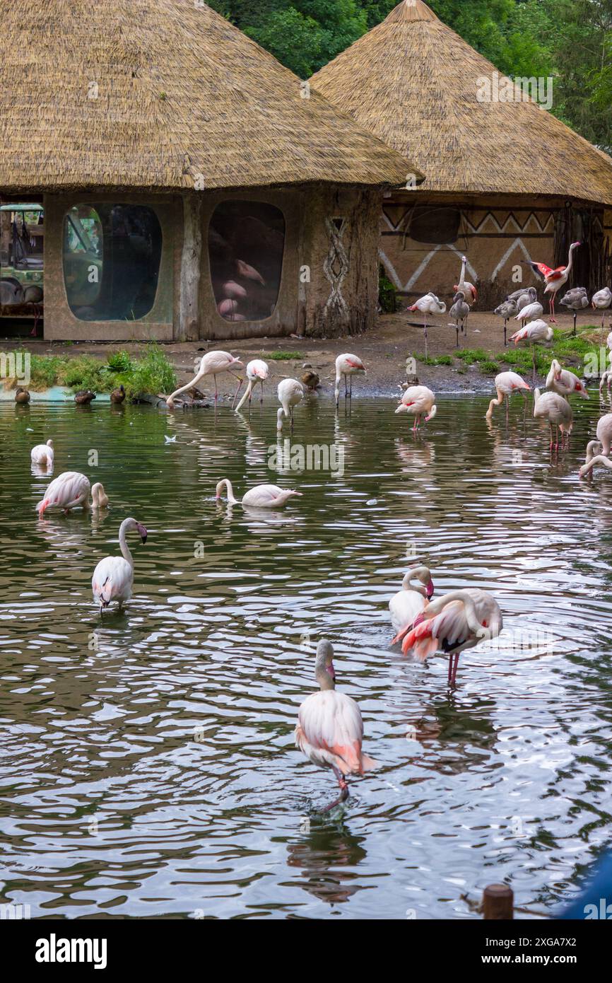 Jihlava, Czech Republic - 4 July 2024: Interior of pavilions in a ...