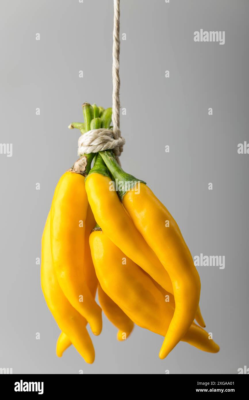 Yellow chili peppers hanging from a string Stock Photo - Alamy