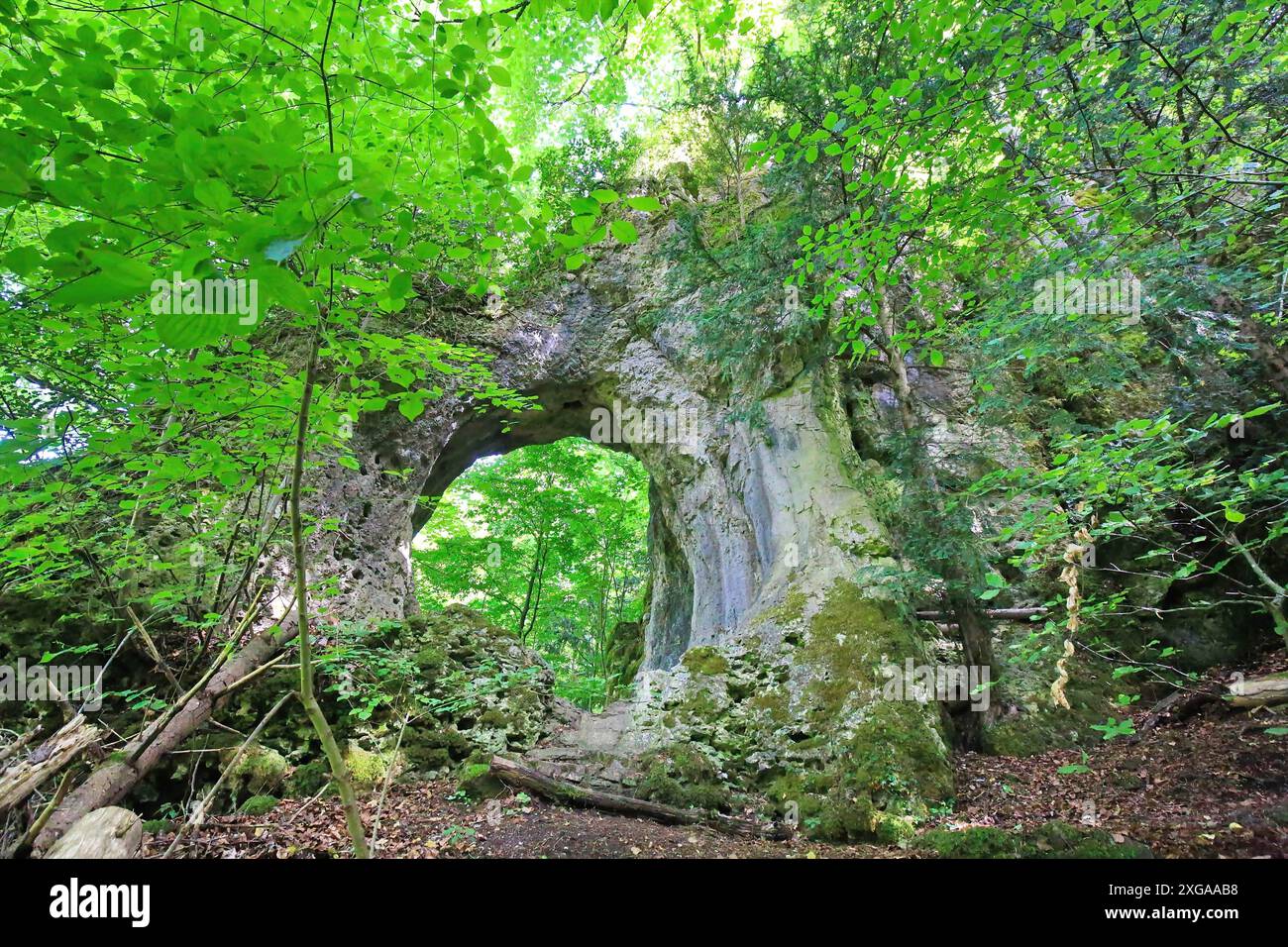 The rock gate near Goessweinstein is a wonder of nature and was created ...