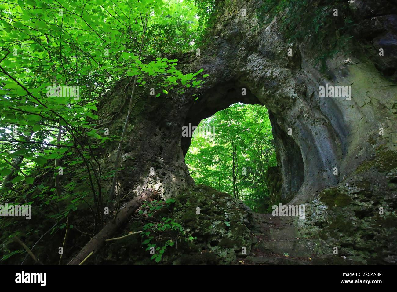 The rock gate near Goessweinstein is a wonder of nature and was created ...