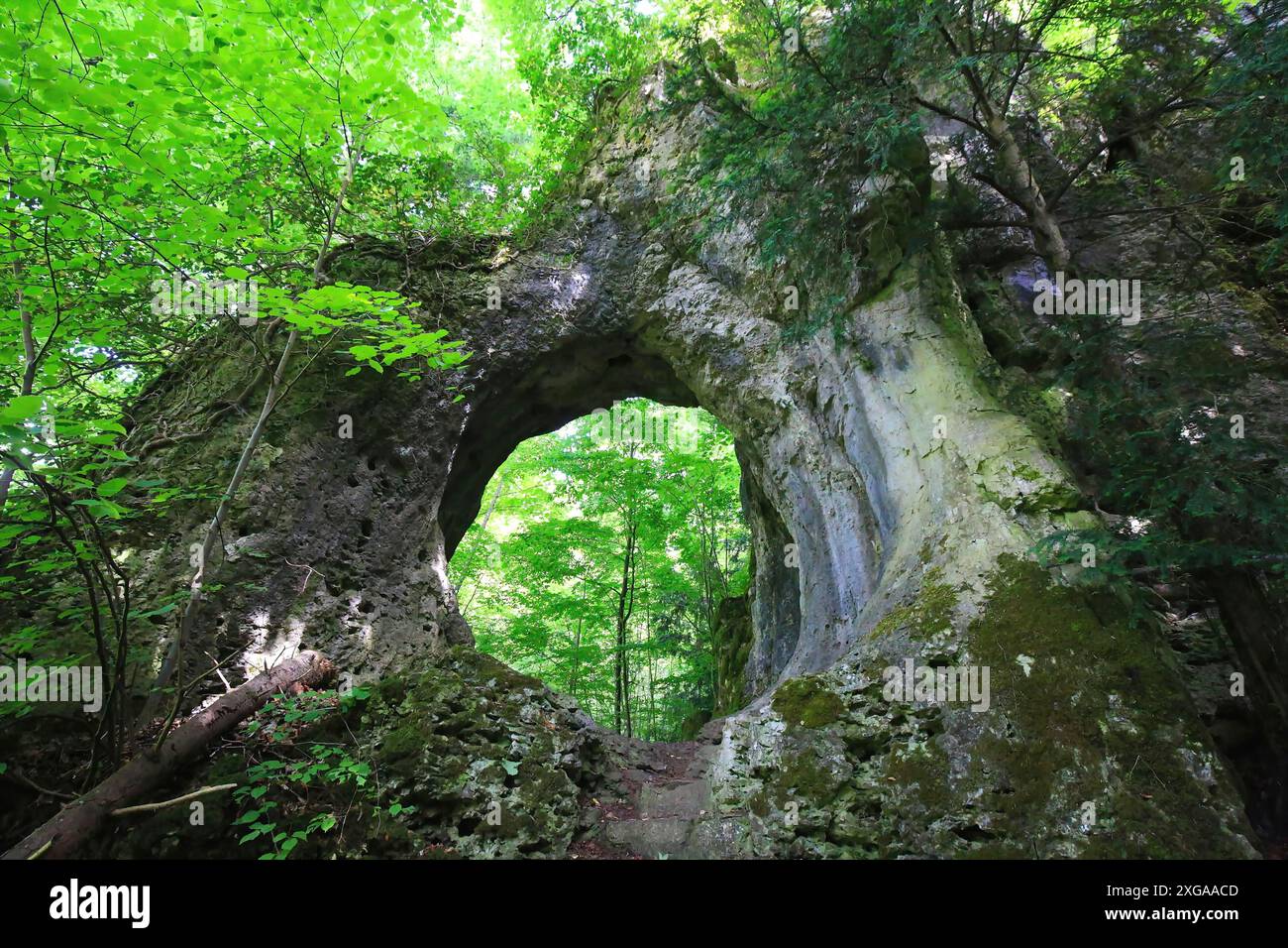 The rock gate near Goessweinstein is a wonder of nature and was created ...