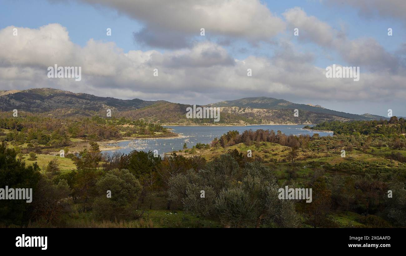 A lake surrounded by green vegetation and mountains under a cloudy sky ...