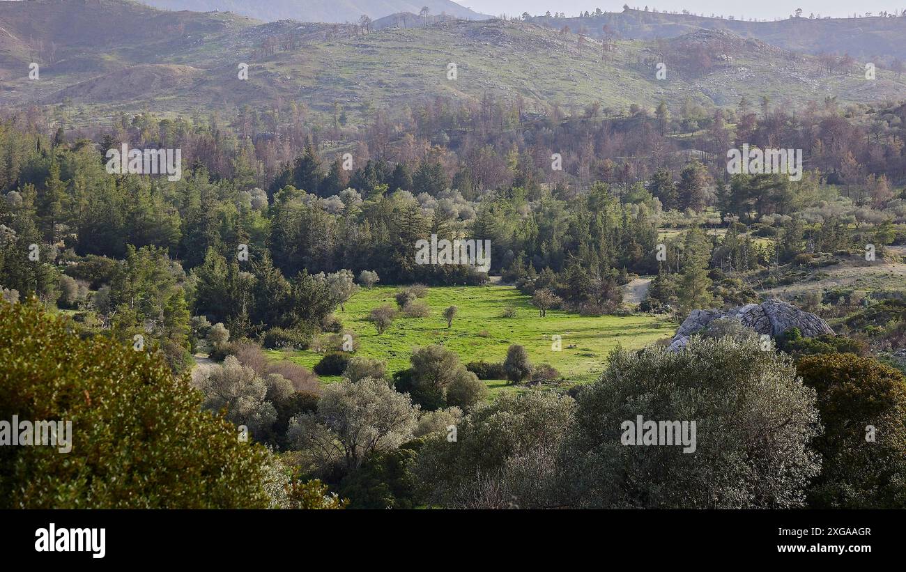 Green meadows and forests in a hilly landscape under a cloudy sky ...