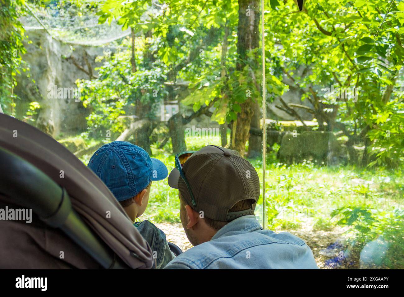 Father and son at the zoo looking at wild animals. Spending day with ...