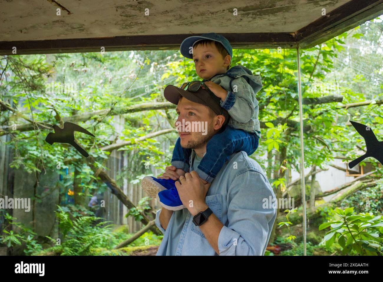 Father and son at the zoo looking at wild animals. Spending day with ...