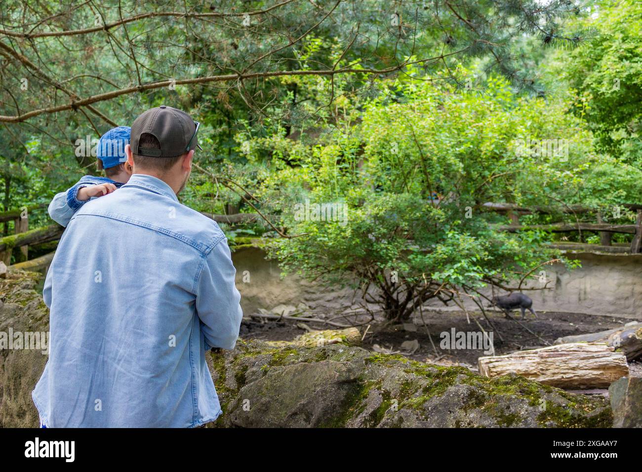 Father and son at the zoo looking at wild animals. Spending day with ...