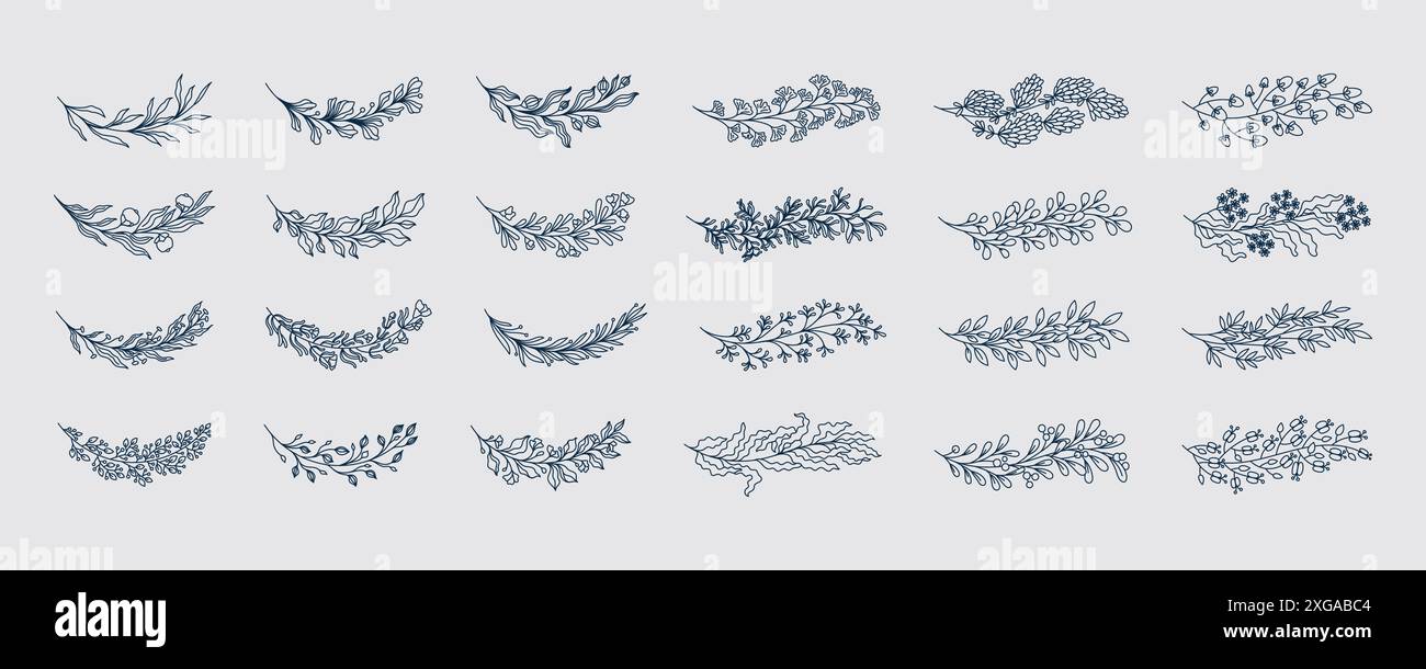 Flower branch. Eucalyptus, olive and rosemary wedding leaf, herb floral ...