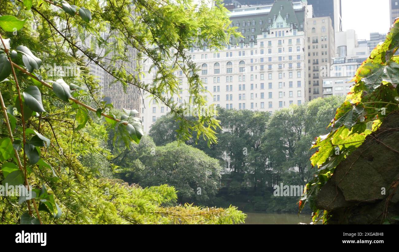 New York City Manhattan Midtown. Central park on 5th Fifth 5 avenue ...