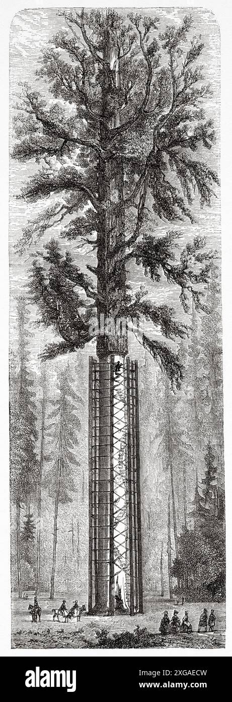 1803 drawing Cut Out Stock Images & Pictures - Alamy