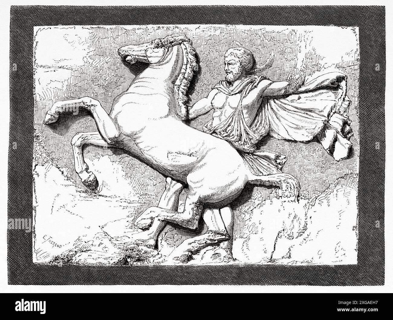 High relief of Phidias metope of the Parthenon, Athens. Greece, drawing ...