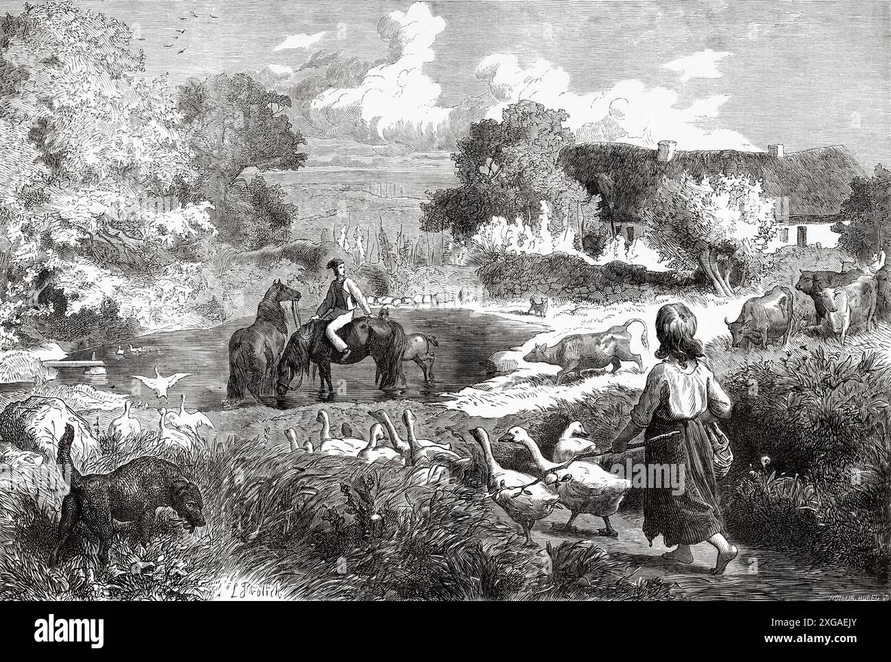 Typical 19th century danish farm hi-res stock photography and images ...
