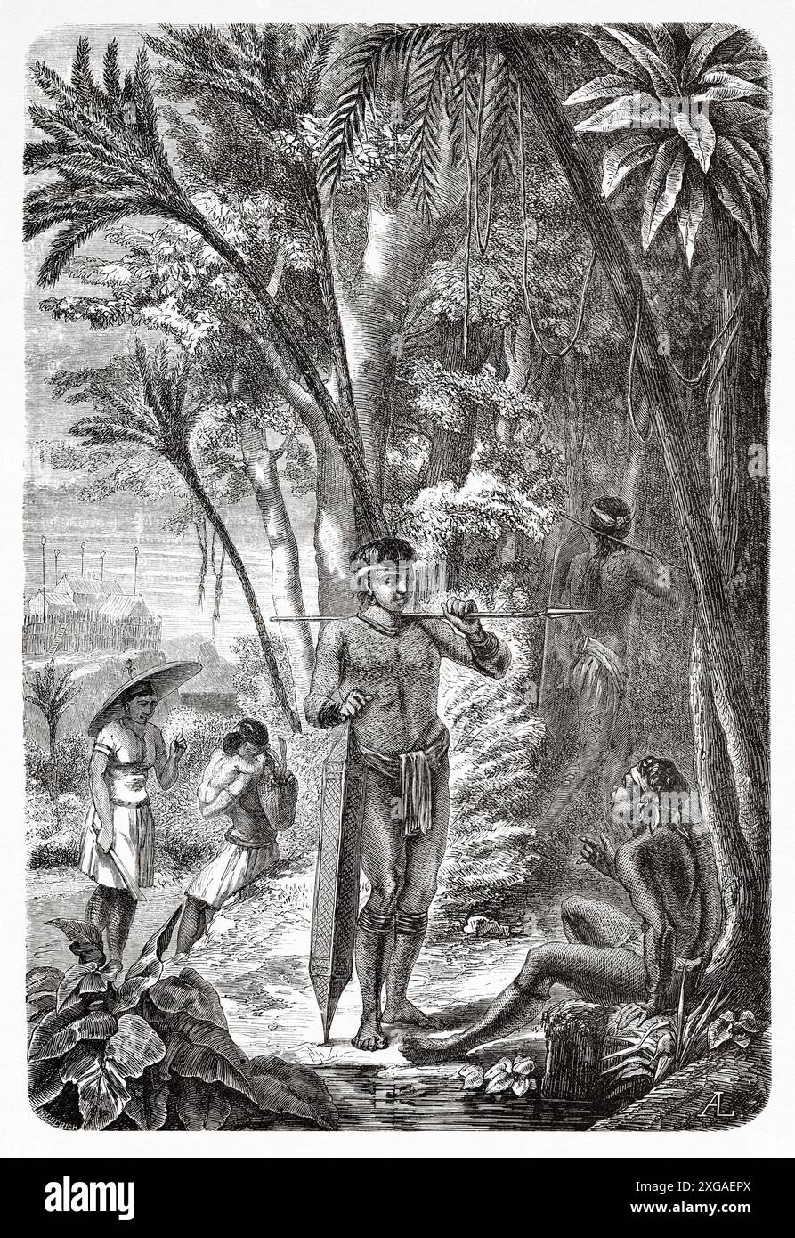 Dyaks peoples n typical dress. Borneo Island, Malaysia, drawing by ...