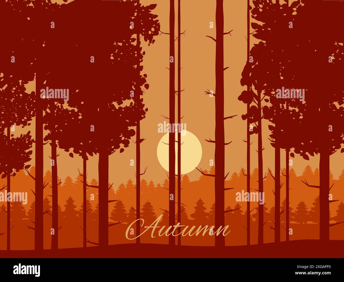 Foliage in sunset on Stock Vector Images - Alamy