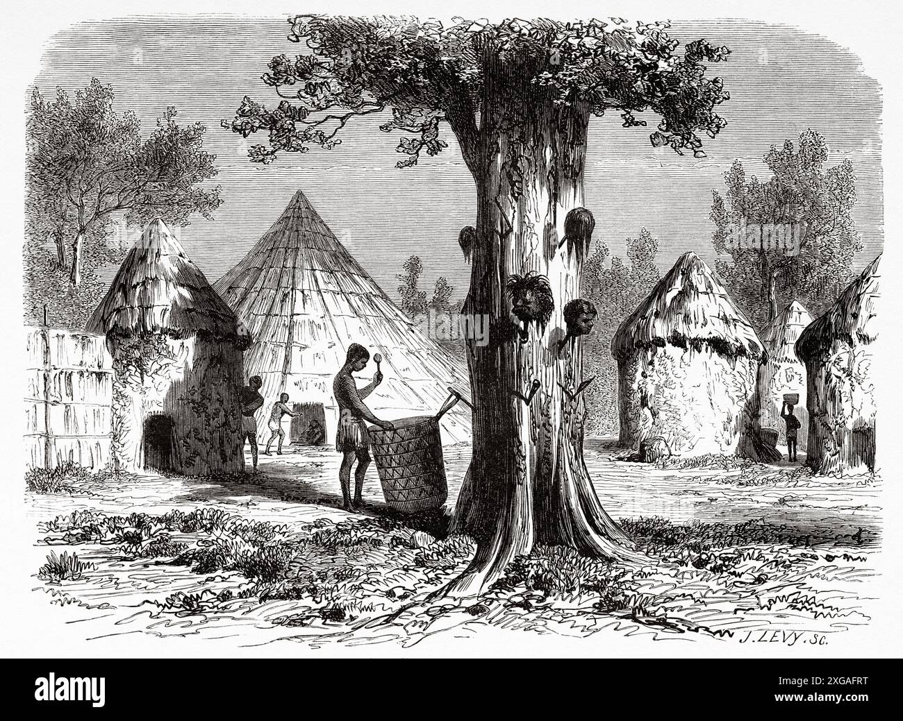 The tree of war. Old Djour village, Bahr-el-Gazal region, Sudan. Africa ...