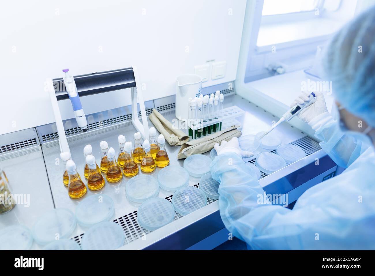 female laboratory assistant conducts research, chemical analysis ...