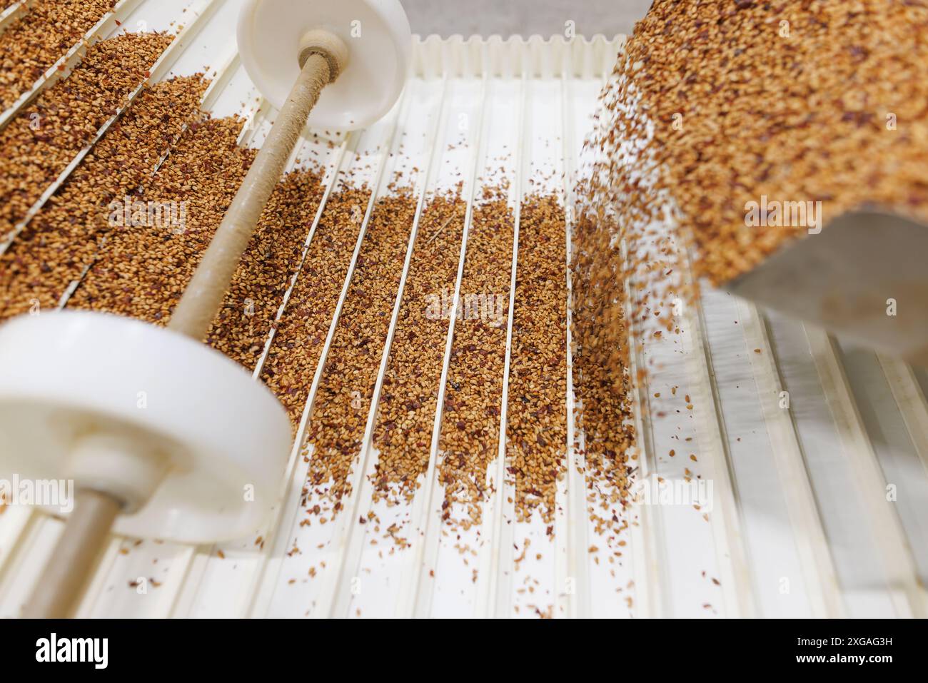 Grain sorting machine, Paddy machine sorts grains of one crop ...
