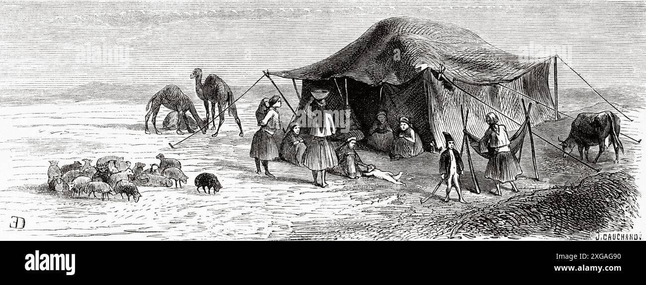 Camp of Illiati tribe from Varamin plain, Iran. Hunting in Persia, 1860 ...