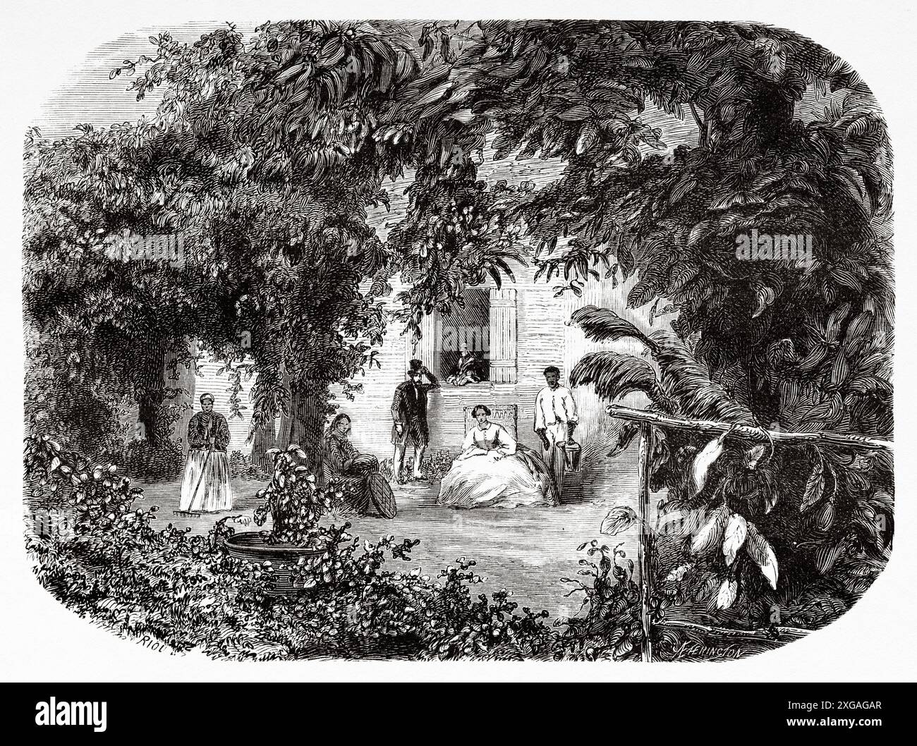 Creole Garden and Creole Family, Saint Denis, Reunion island. Western ...