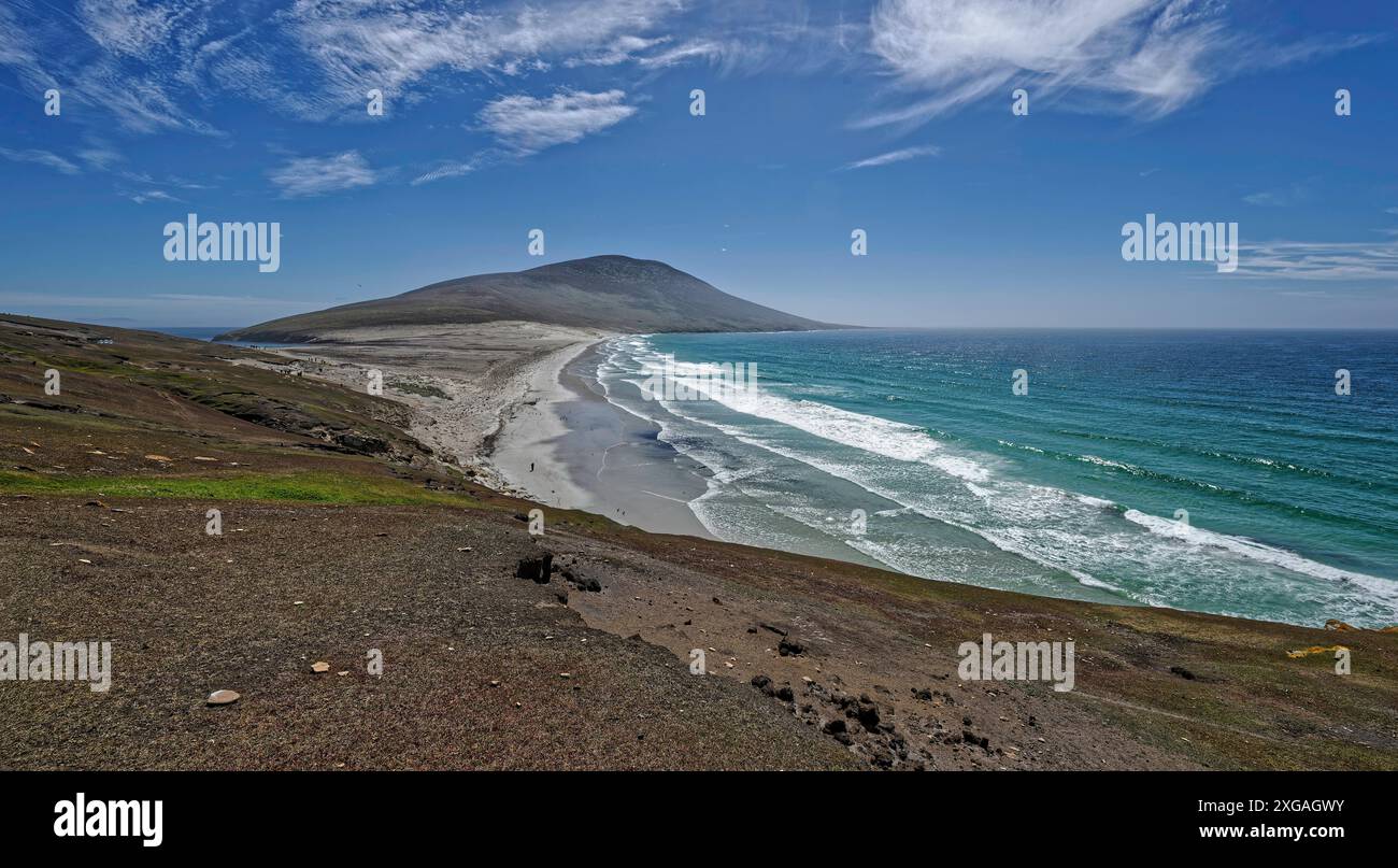 Saunders Island, Falklands, January 2024 Stock Photo - Alamy