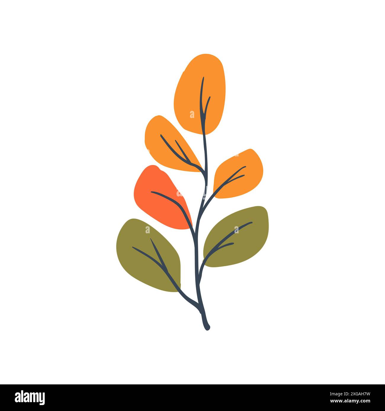 Variegated house plant Stock Vector Images - Alamy