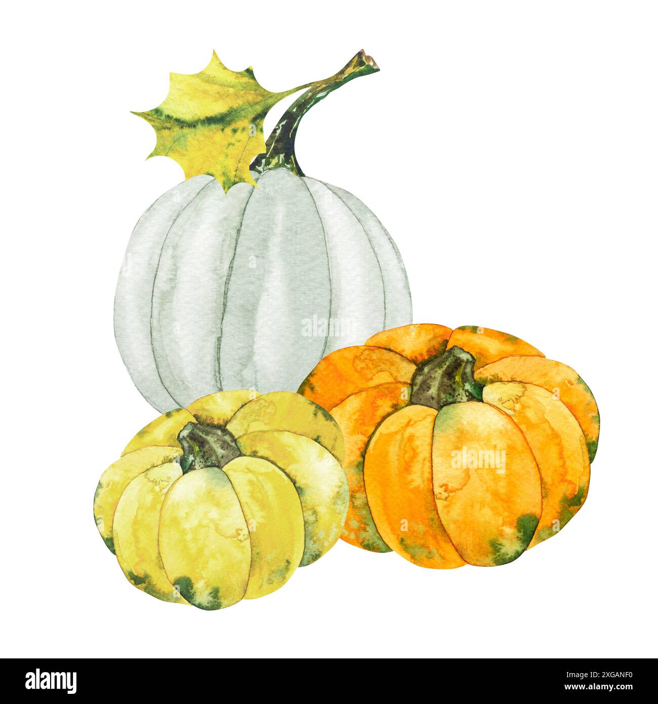 Set pumpkin different shapes hi-res stock photography and images - Alamy