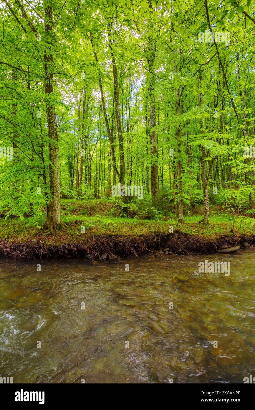Calm water stream hi-res stock photography and images - Alamy