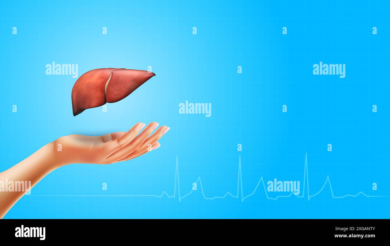 Liver on hand heartbeats blue hi-res stock photography and images - Alamy