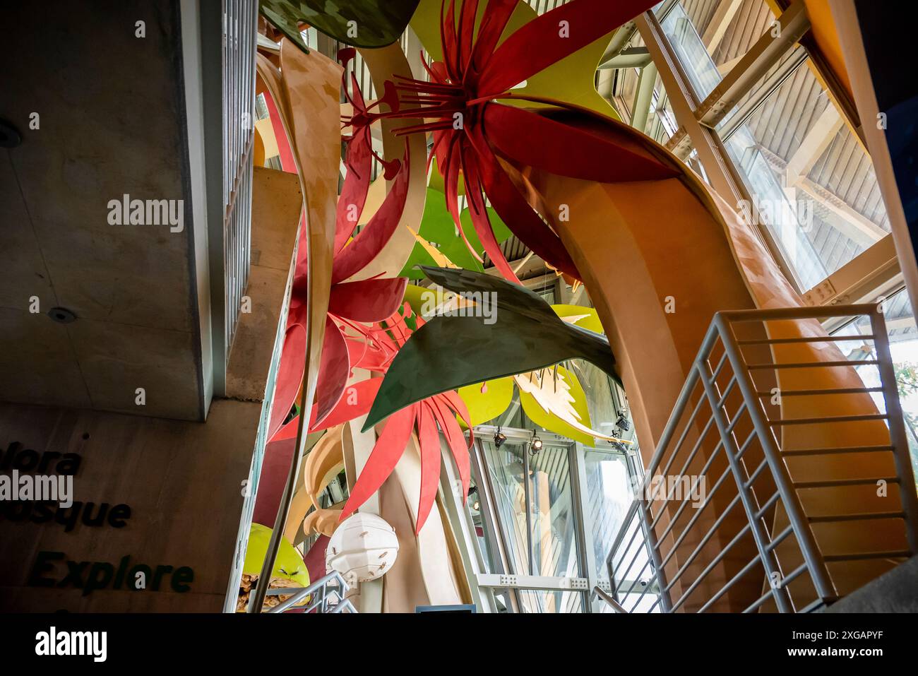 Tropical display, Biomuseo, a museum focused on the natural history of ...