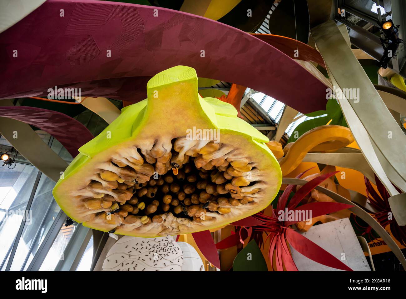 Biomuseo interior hi-res stock photography and images - Alamy