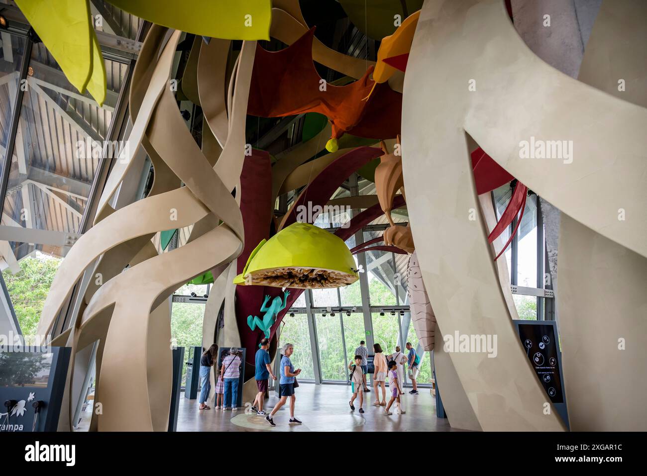 Tropical display, Biomuseo, a museum focused on the natural history of ...