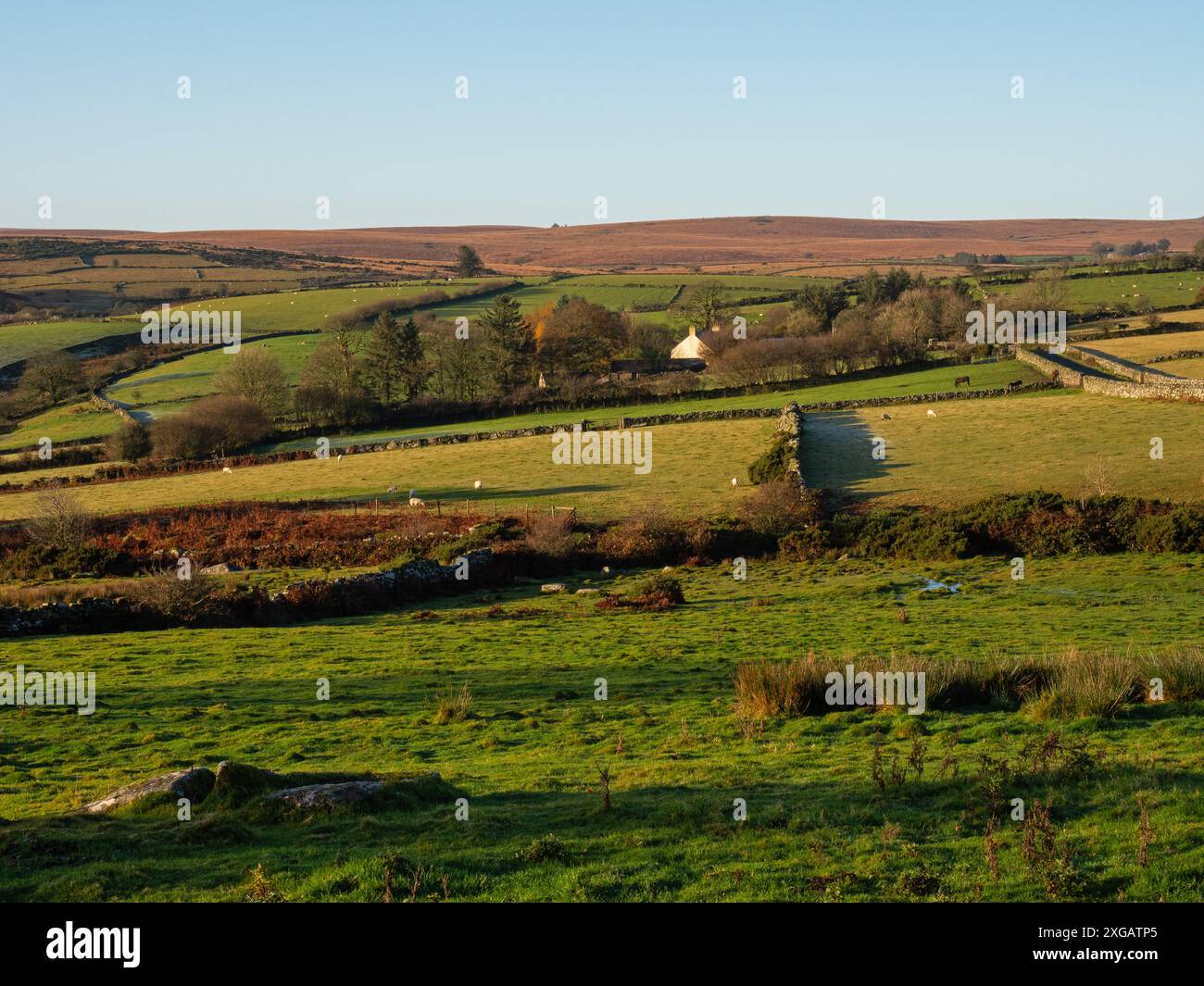Farmland and farm from near Dunna Bridge with the moorland of Dartmoor ...