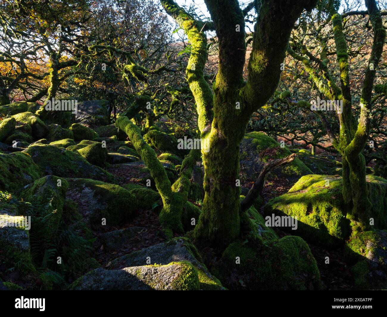 Ncr nature conservation review site hi-res stock photography and images ...