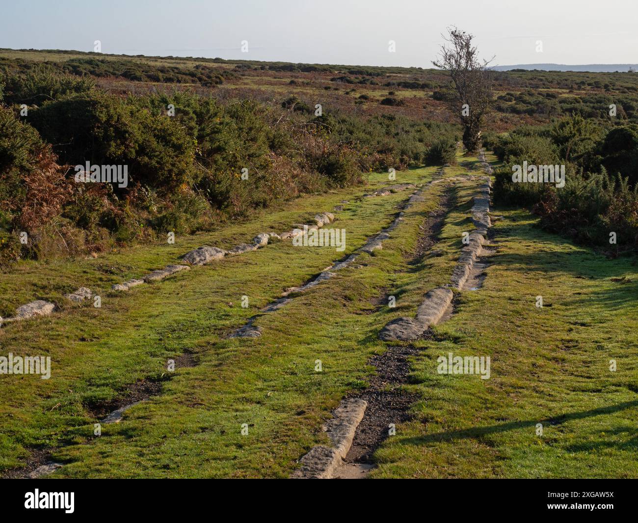 Haytor Granite Tramway, looking towards Bovey Tracey, Dartmoor National ...