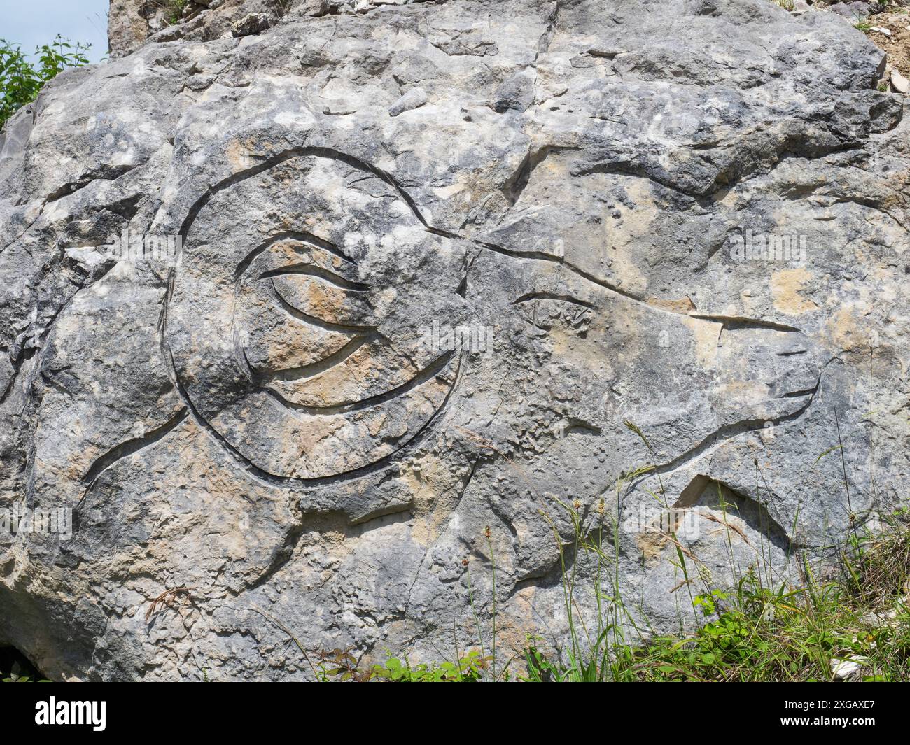 Ram rock carving, Tout Quarry Sculpture Park, Tout Quarry Nature ...