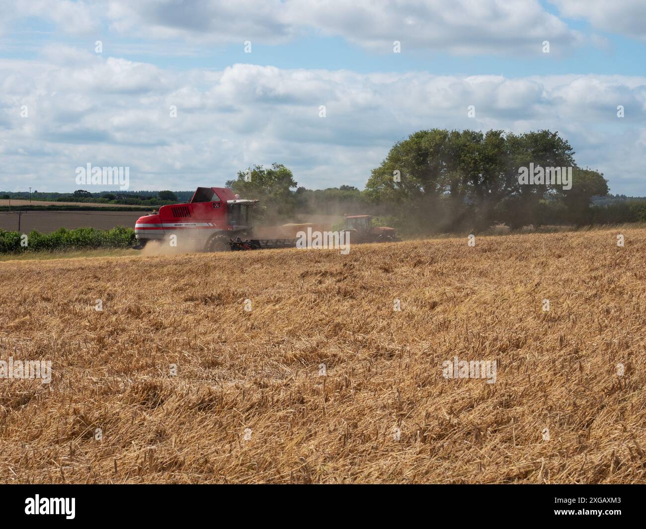 Harvesting barley , Myncen Farm, Cranborne Chase, Dorset, England, UK ...