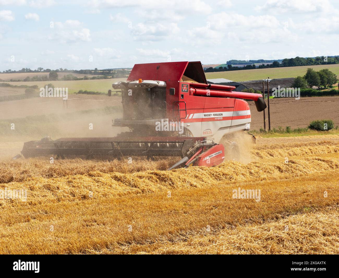 Harvesting barley , Myncen Farm, Cranborne Chase, Dorset, England, UK ...