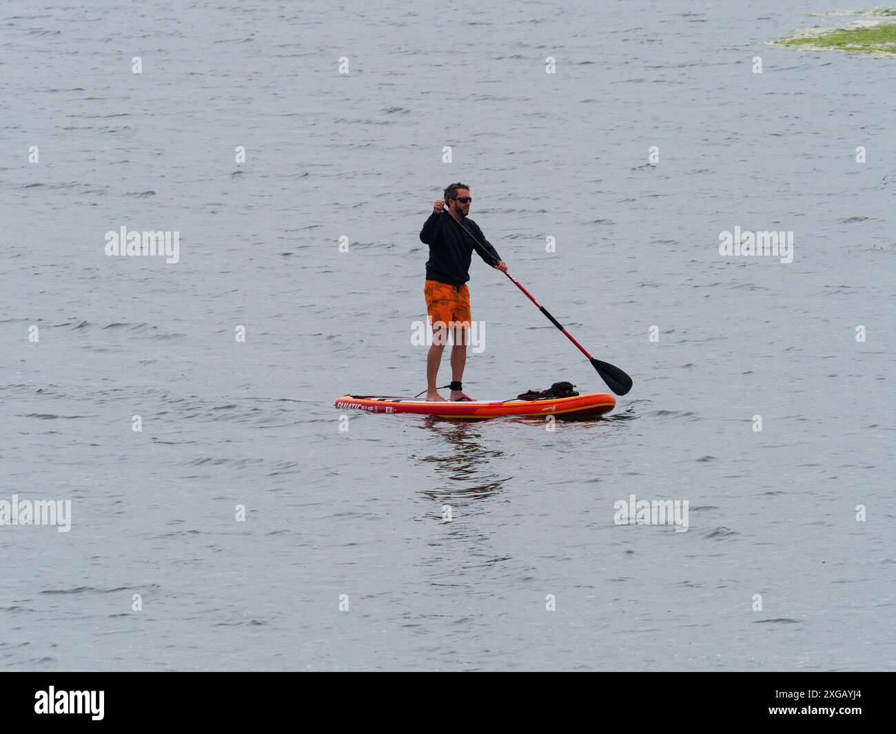 Paddle boarder in the Arne nature Reserve area disturbing wildlife ...