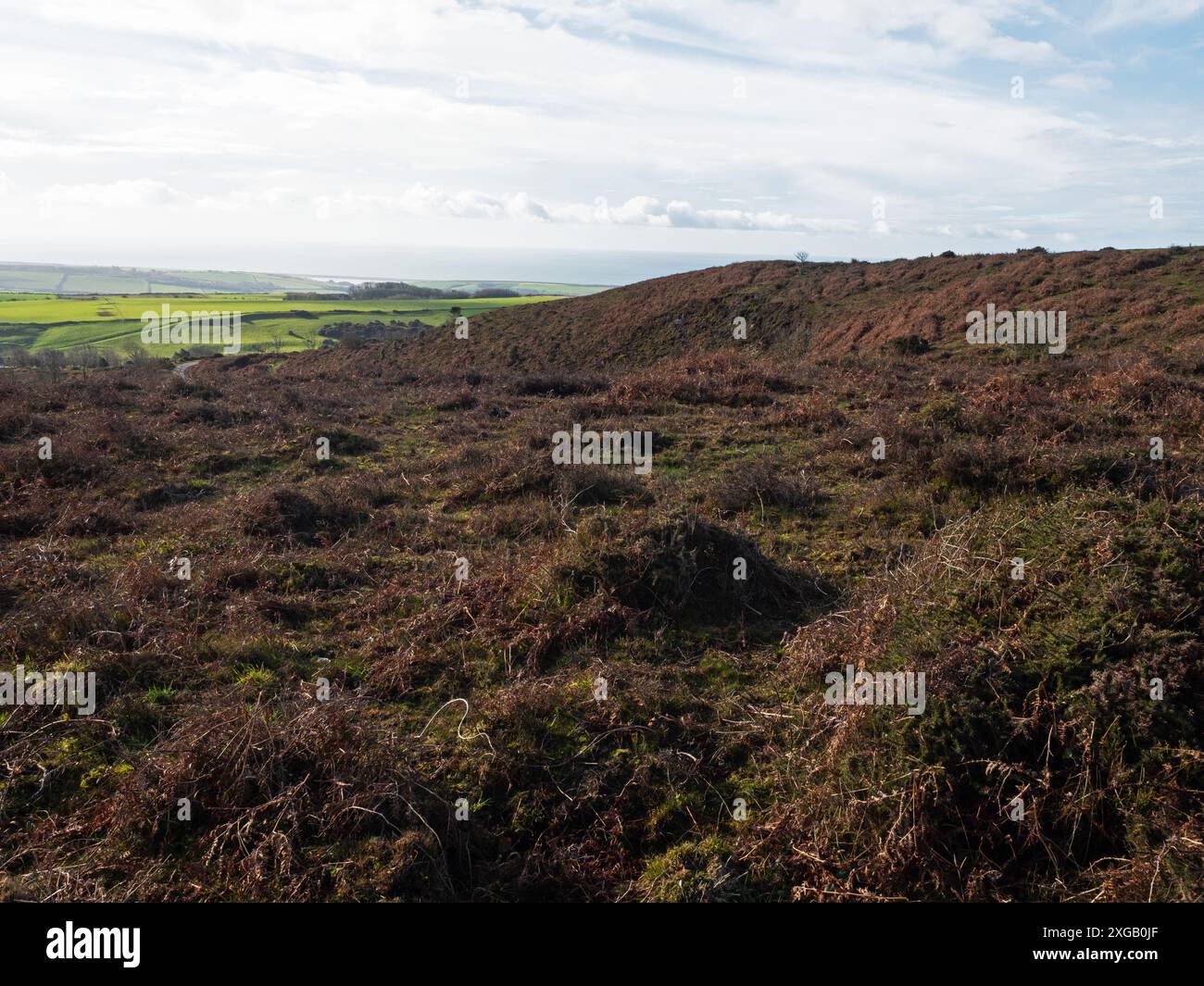 Part of Black Down with farmland and The Fleet beyond, from near ...