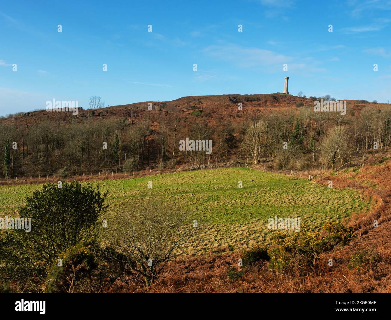 Hardy Monument on Black Down from the South Dorset Ridgeway, near ...