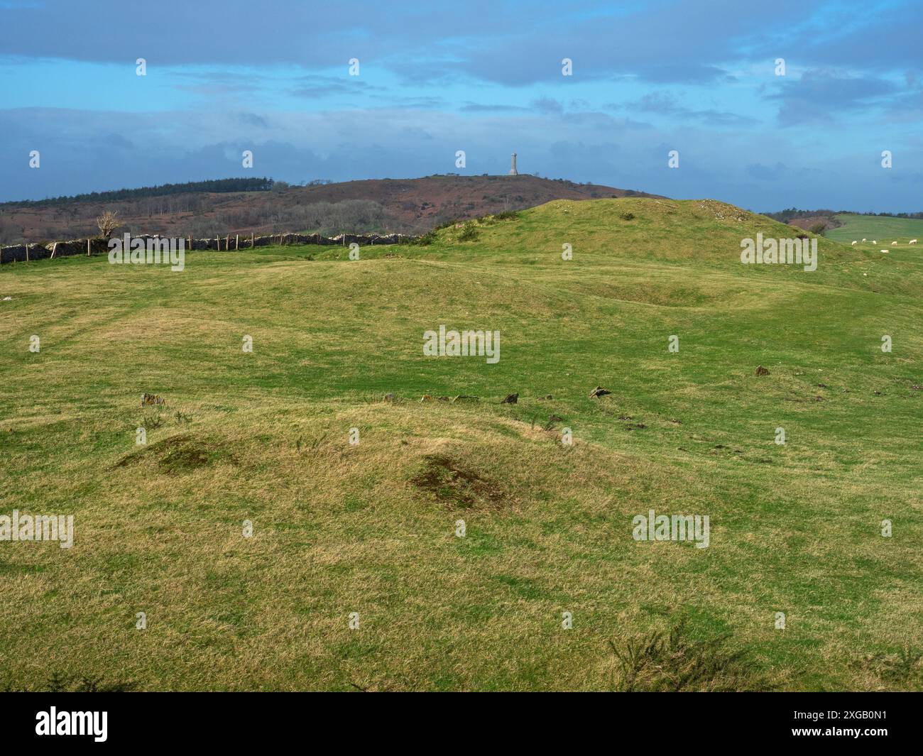 Ancient barrows beside the South Dorset Ridgeway with the Hardy ...