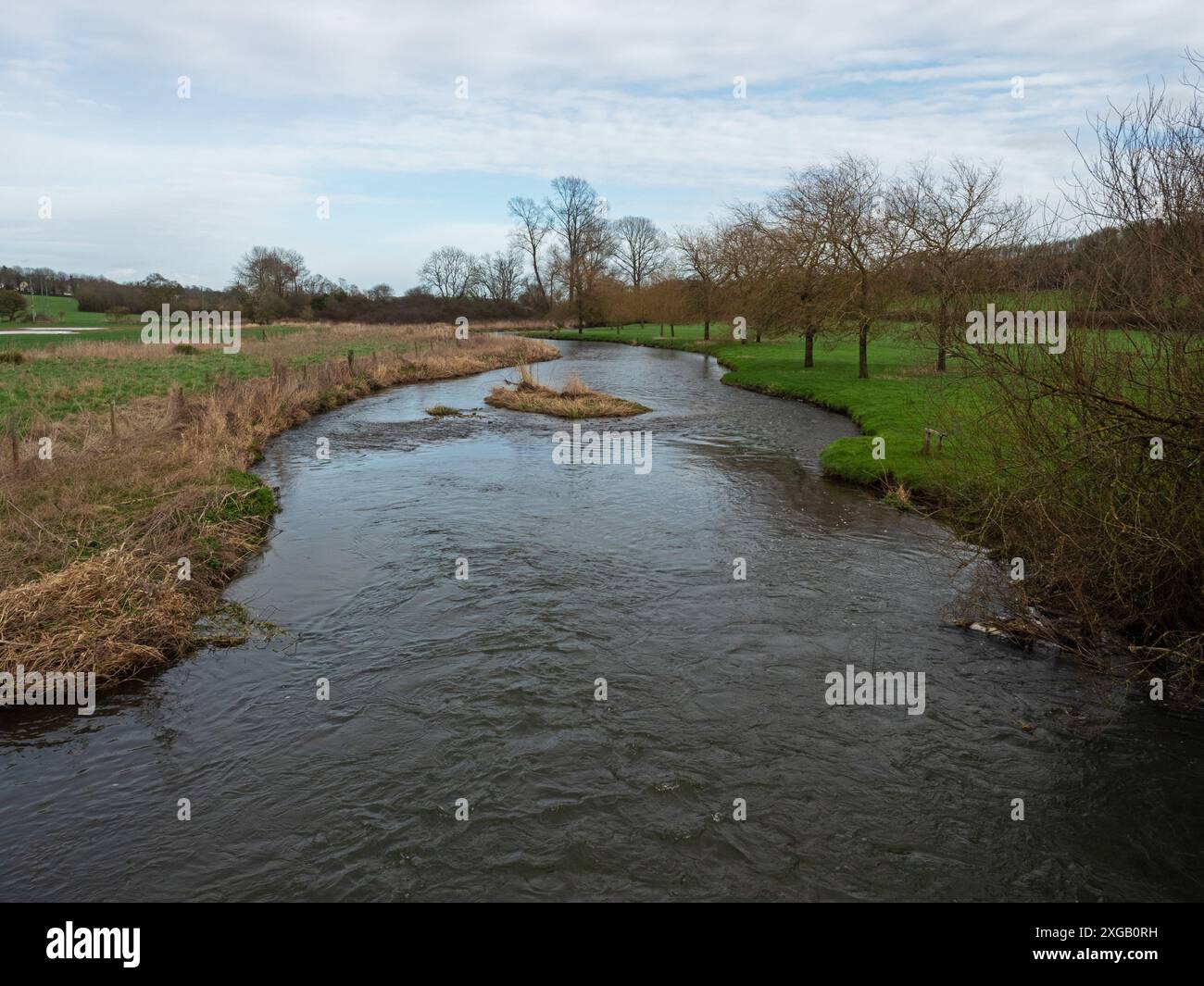 River Frome flowing through grassland and trees, Muckleford, Dorset ...