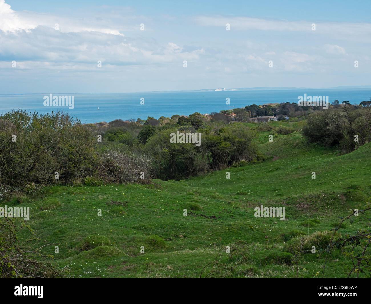 Chalk grassland on Townsend Nature Reserve, Dorset Wildlife Trust ...