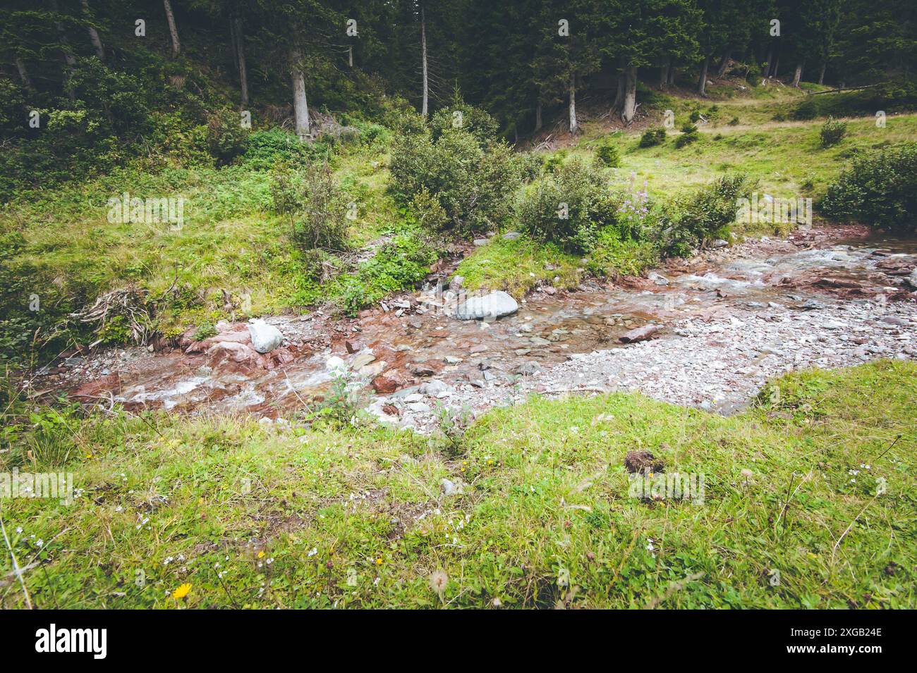 Peaceful river green hills trees hi-res stock photography and images ...