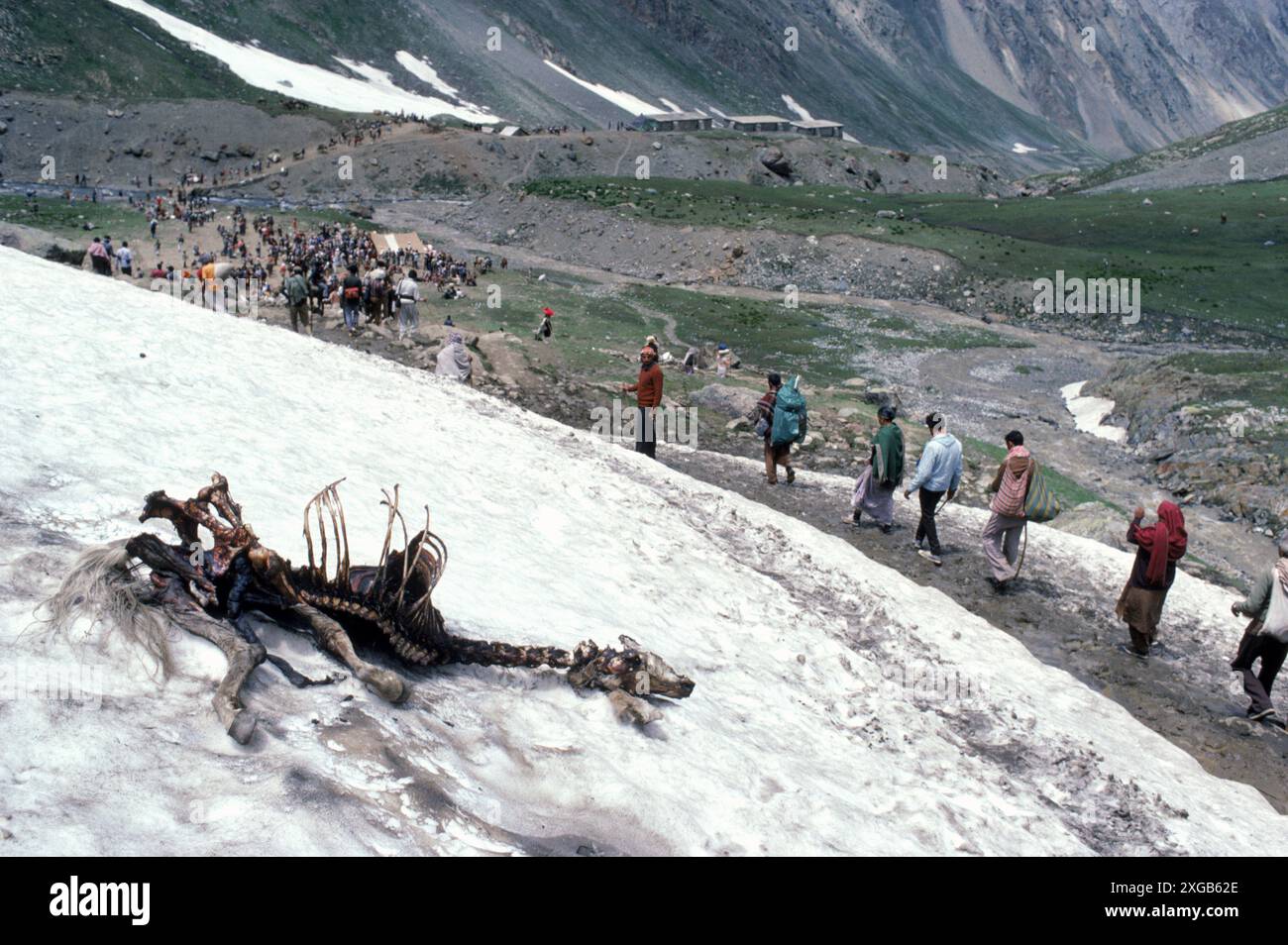 Hindu pilgrimage Amar Nath Yatra - Kashmir Stock Photo - Alamy