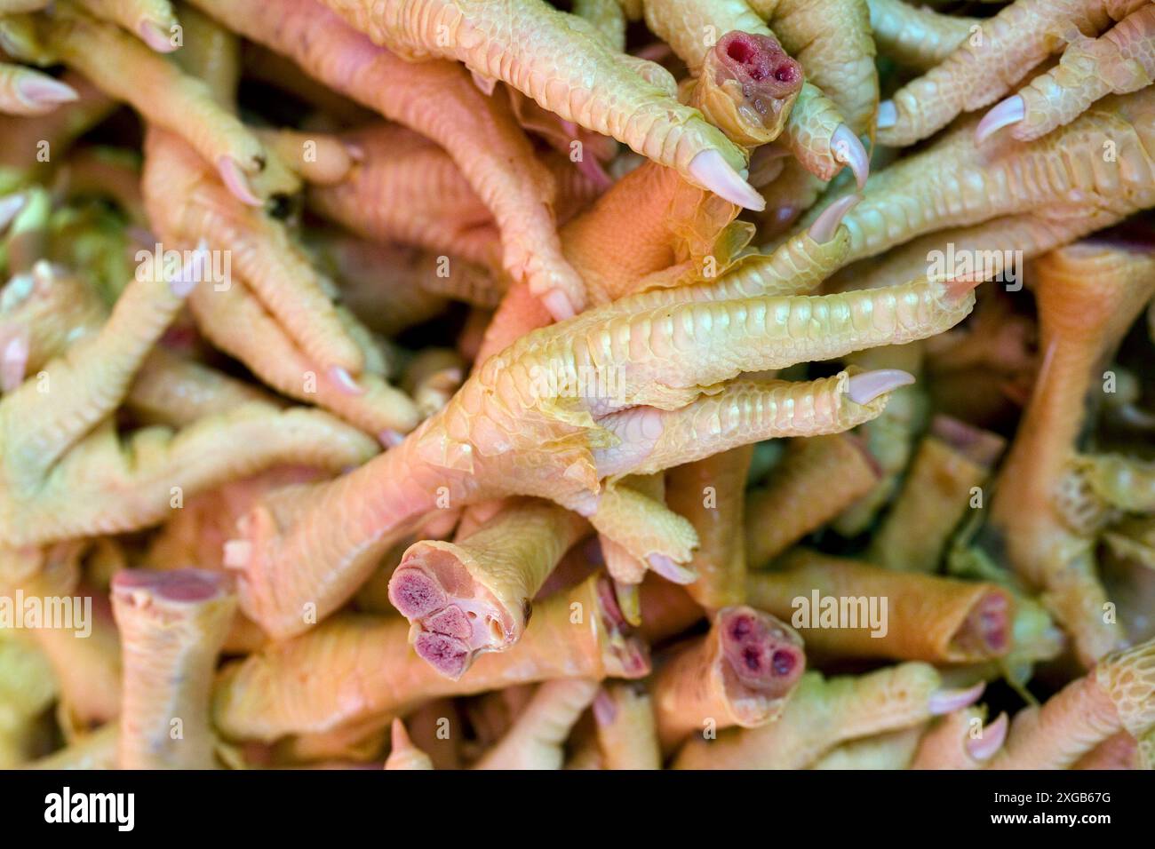 A pile of chicken feet at a market in San Miguel de Allende, Mexico ...