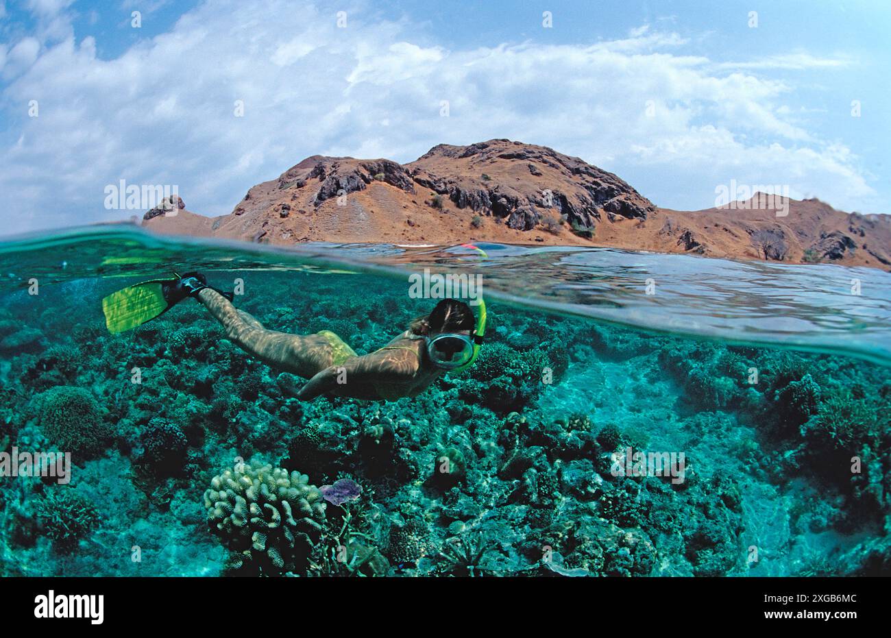 Skin Diving near Komodo, Skin diver, Indonesia, Indian Ocean, Komodo ...