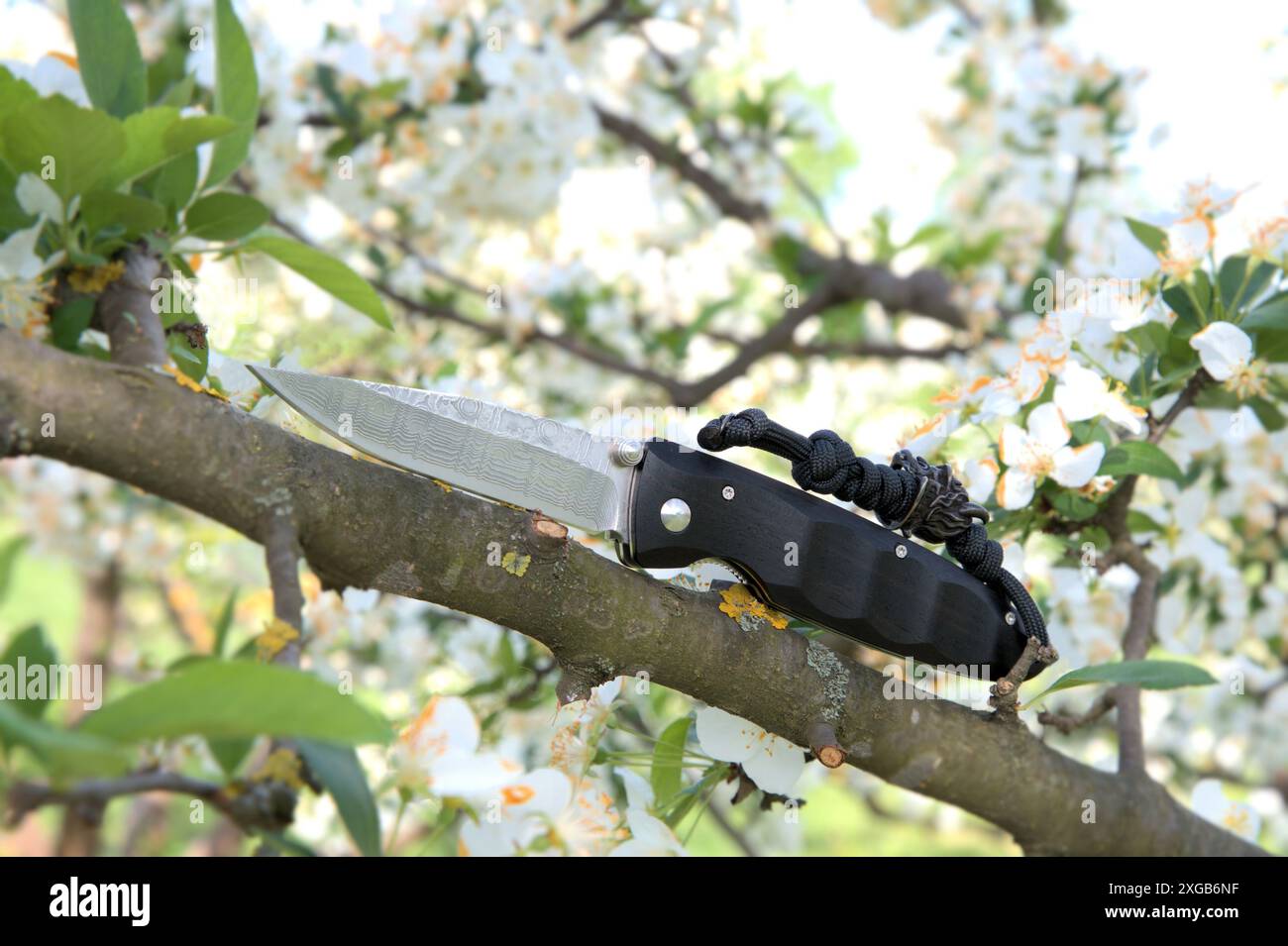 Folding knife damascus cutting stainless blade black handle green ...