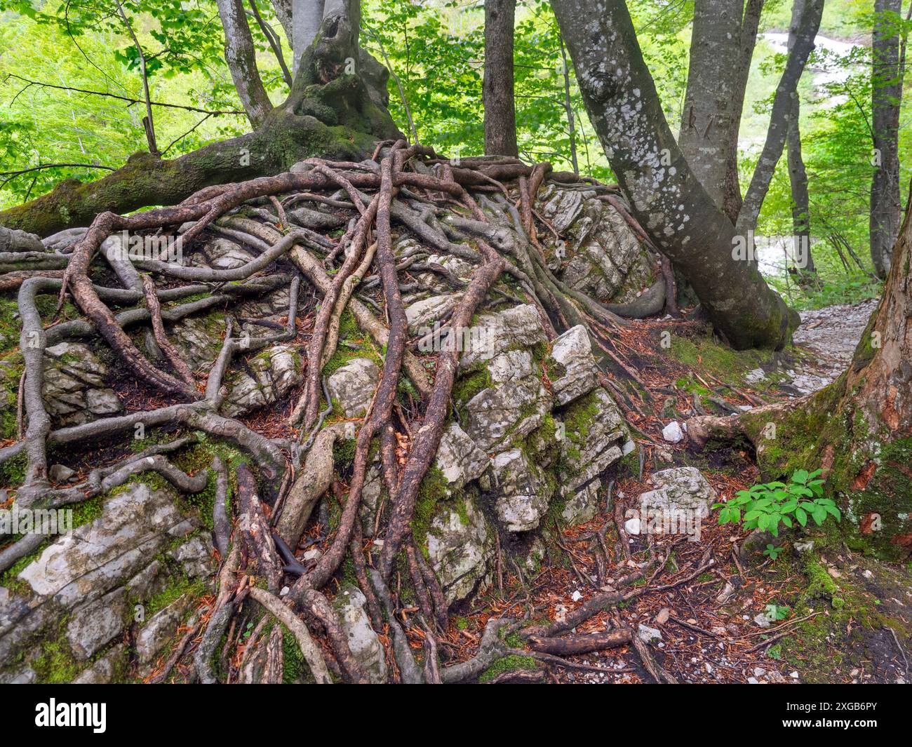 Snow clinging to rocks hi-res stock photography and images - Alamy