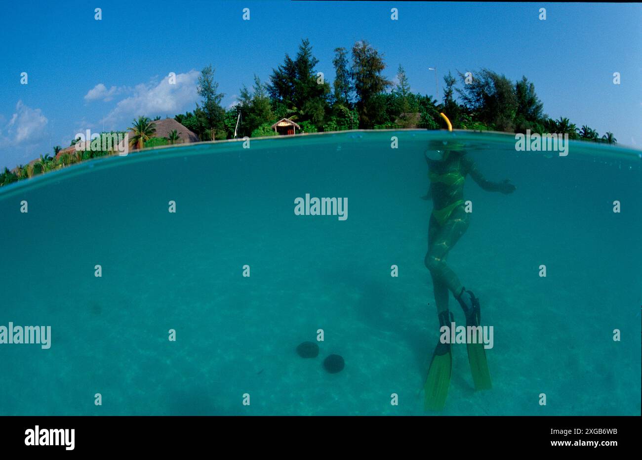 Snorkeling, scin diver, split image, Maldives Island, Indian Ocean, Ari ...